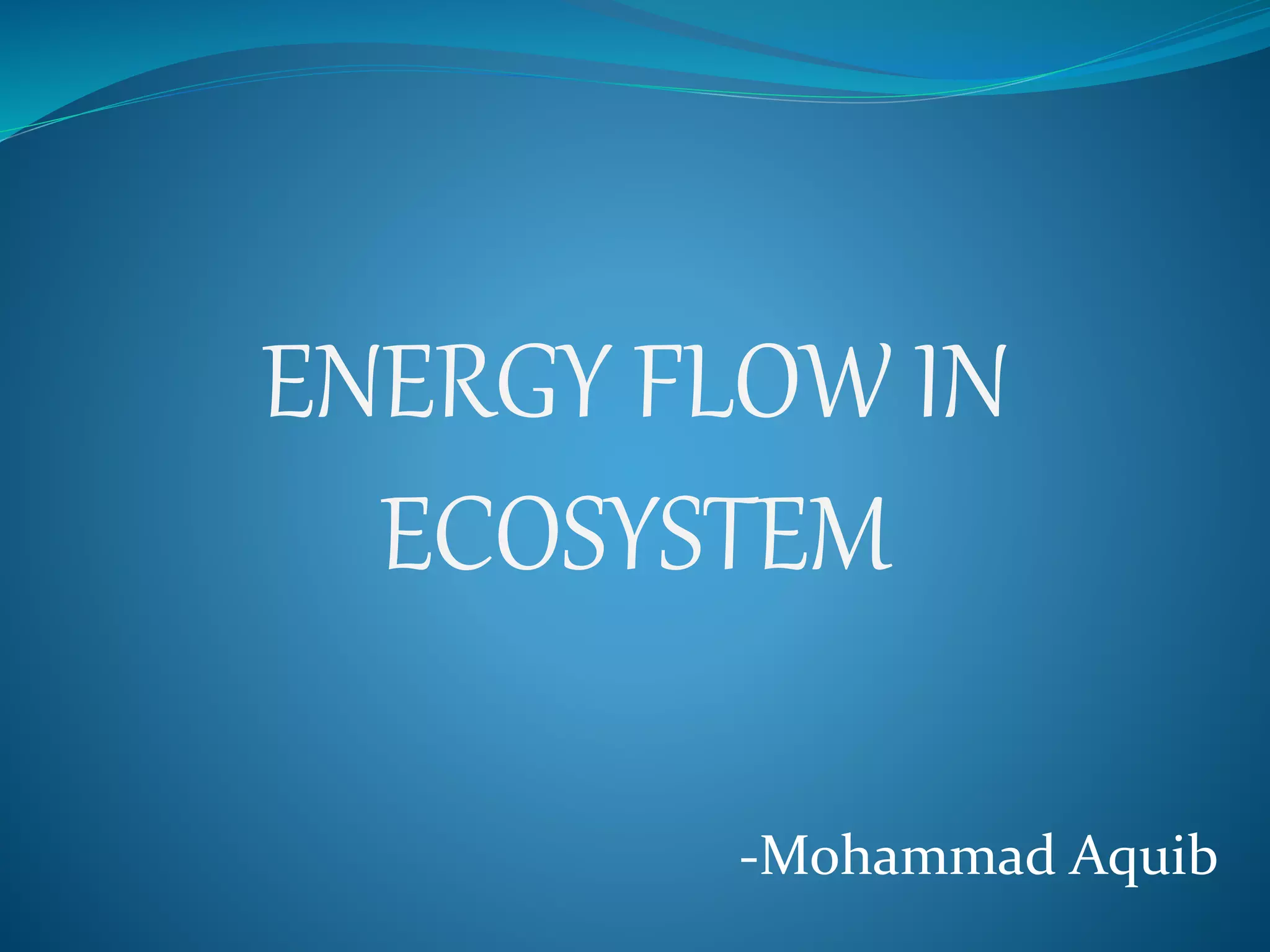 Energy flow in Ecosystem | PPT