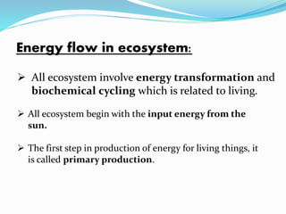 Energy flow in Ecosystem | PPT