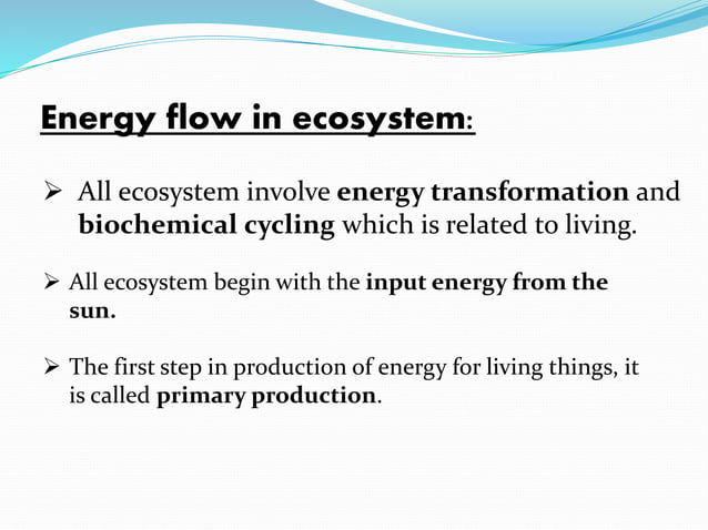 Energy flow in Ecosystem | PPT