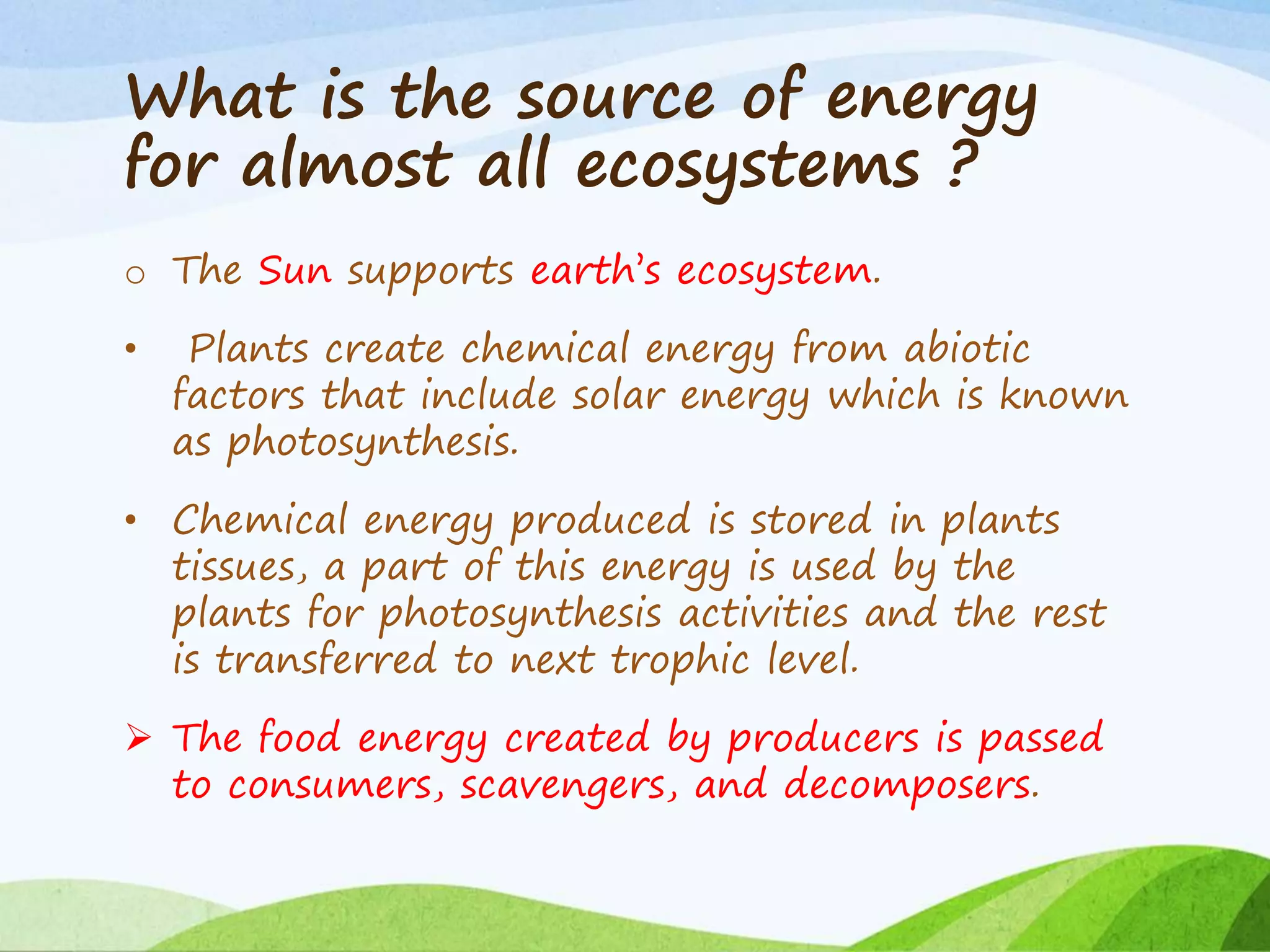 Energy flow in ecosystem | PPTX