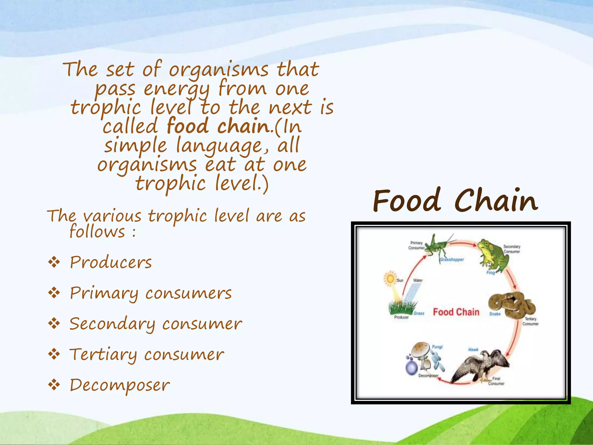 Energy flow in ecosystem | PPTX
