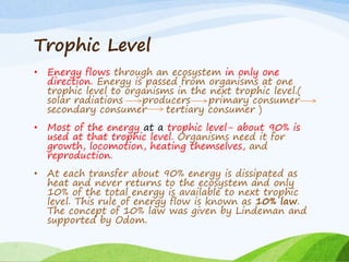 Energy flow in ecosystem | PPTX