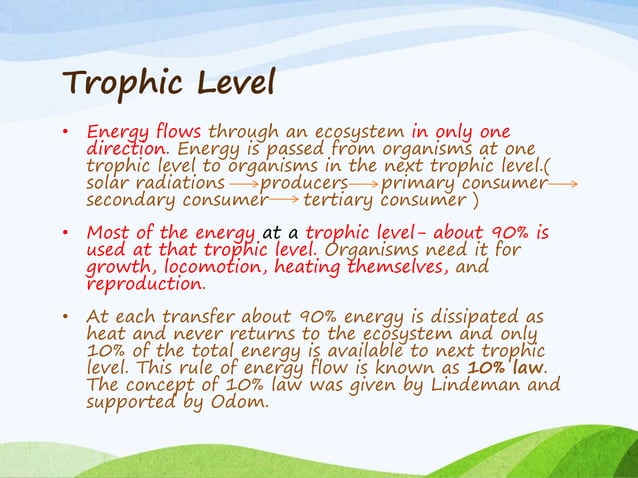 Energy flow in ecosystem | PPTX | Physics | Science