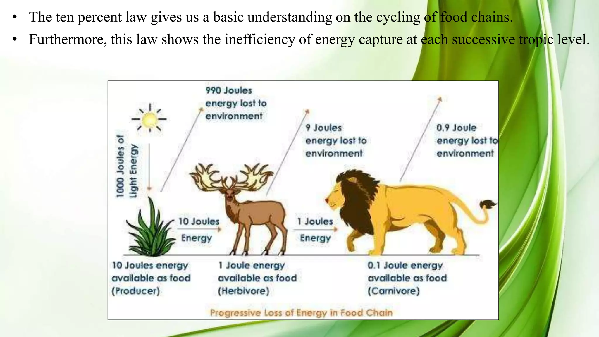 energy flow in ecosystem.pptx | Geography | Science