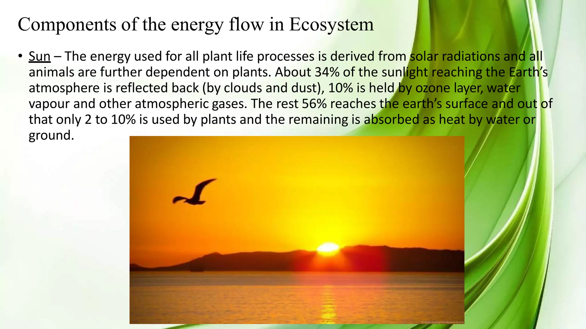 energy flow in ecosystem.pptx