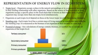 energy flow in ecosystem.pptx