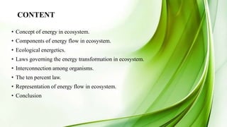 energy flow in ecosystem.pptx