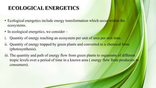 energy flow in ecosystem.pptx