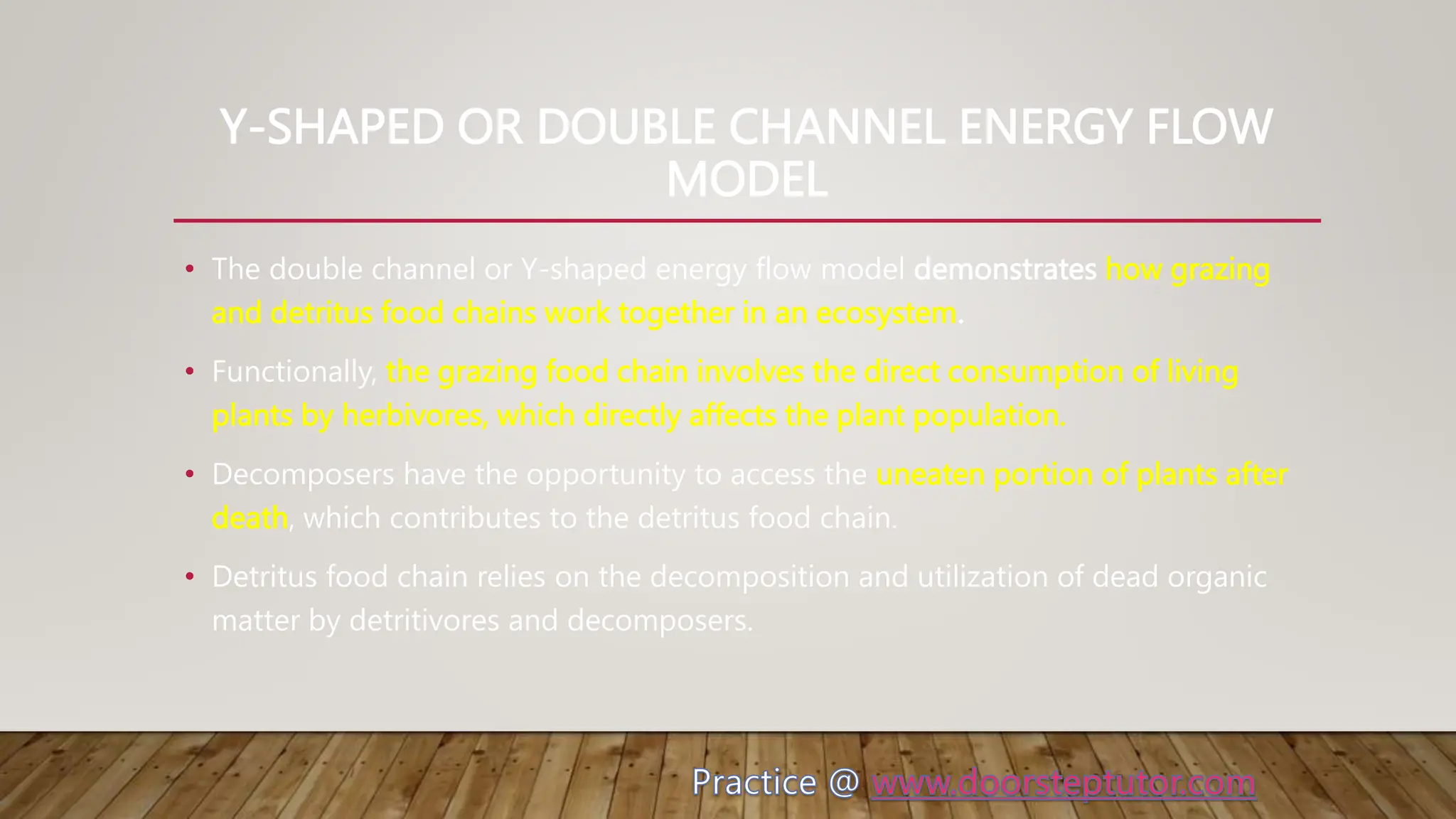 Energy flow in ecosystem.pptx