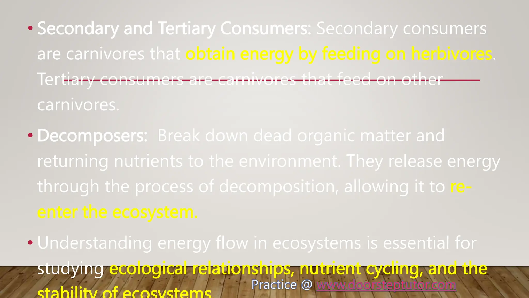 Energy flow in ecosystem.pptx