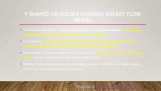 Energy flow in ecosystem.pptx