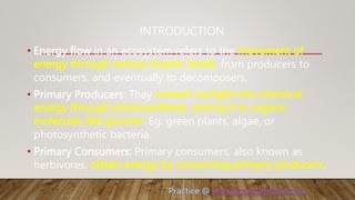 Energy flow in ecosystem.pptx