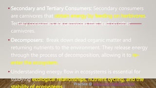 Energy flow in ecosystem.pptx