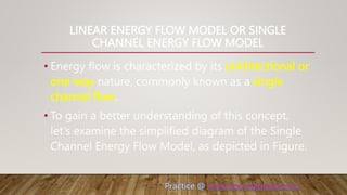 Energy flow in ecosystem.pptx