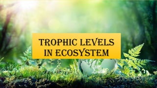 Energy flow in ecosystem.importance , laws of thermodynamics in ...