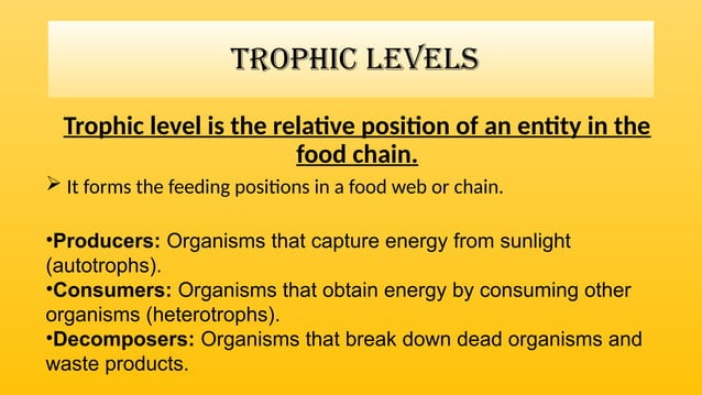 Energy flow in ecosystem.importance , laws of thermodynamics in ...