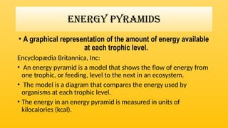 Energy flow in ecosystem.importance , laws of thermodynamics in ...