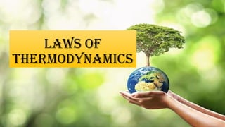 Energy flow in ecosystem.importance , laws of thermodynamics in ...