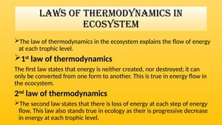 Energy flow in ecosystem.importance , laws of thermodynamics in ...