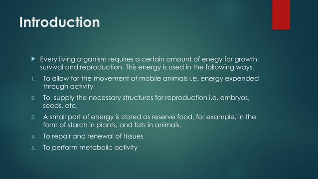 Ecological Energy Flow in Ecosystem.pptx
