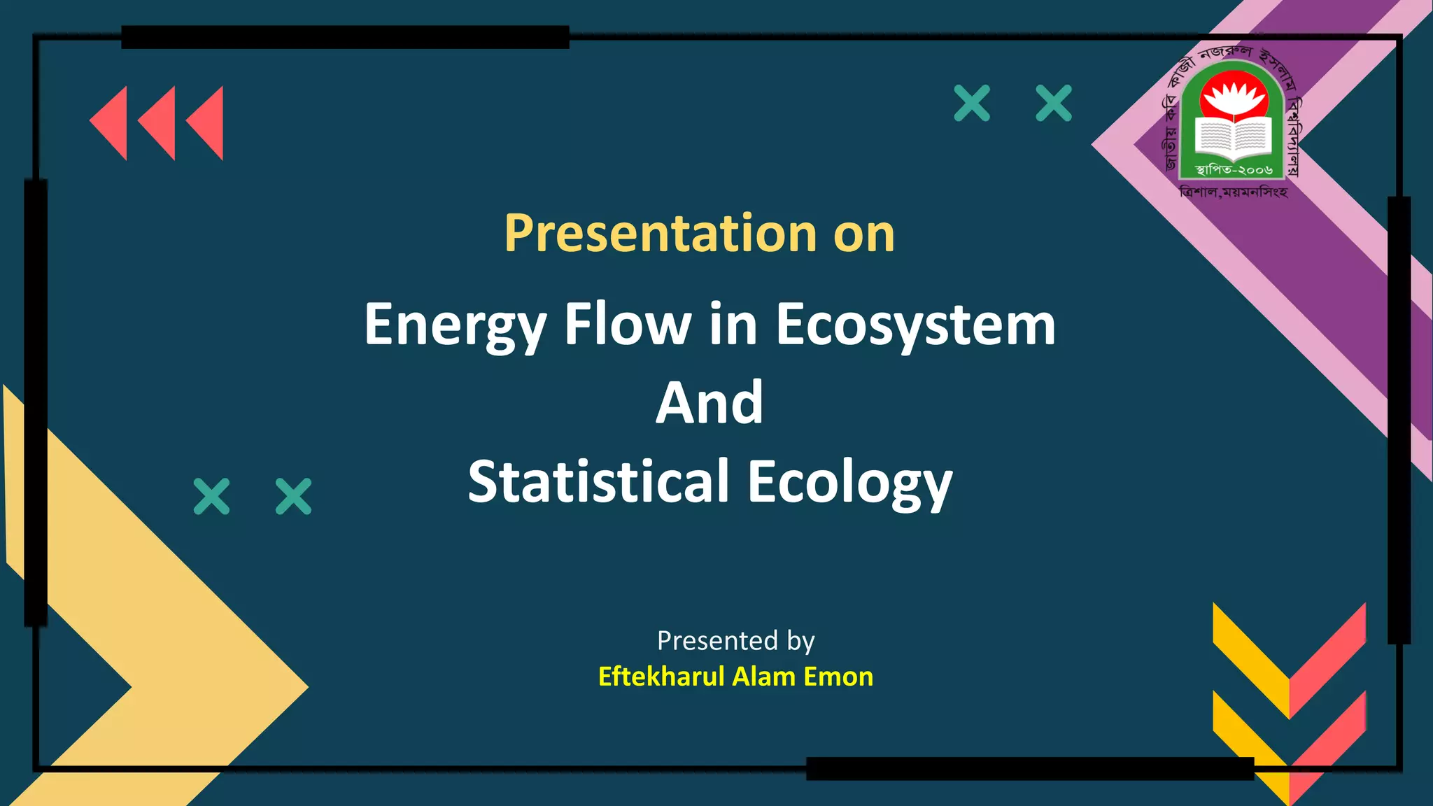 Energy Flow in Ecosystem and Statistical Ecology Presentation.pdf