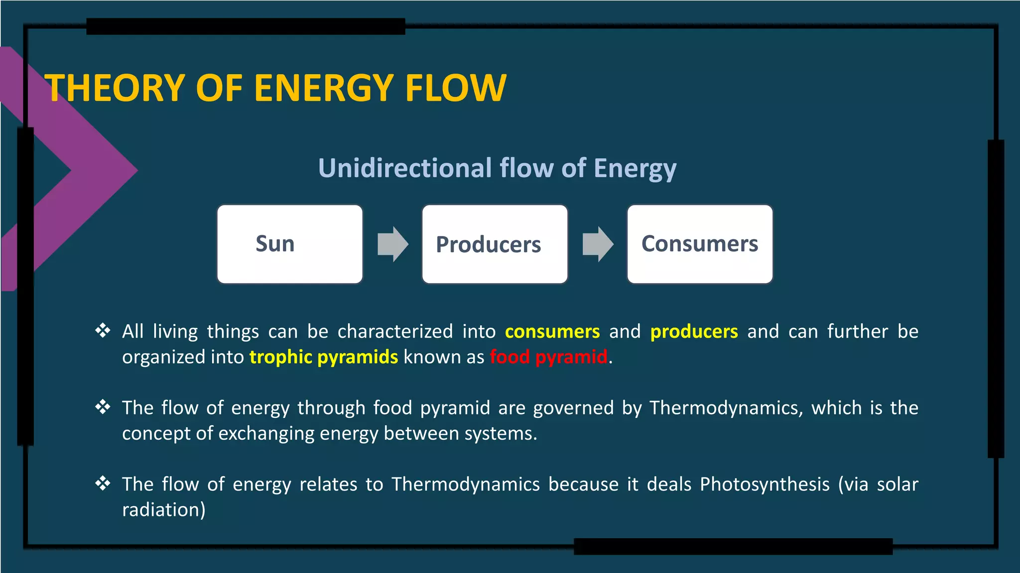 Energy Flow in Ecosystem and Statistical Ecology Presentation.pdf