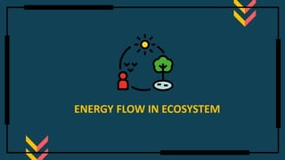 Energy Flow in Ecosystem and Statistical Ecology Presentation.pdf
