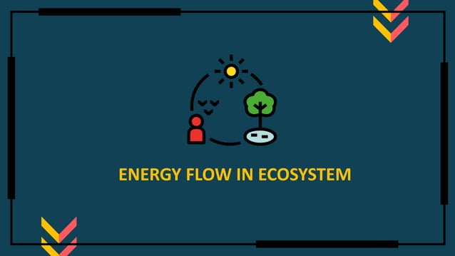 Energy Flow in Ecosystem and Statistical Ecology Presentation.pdf