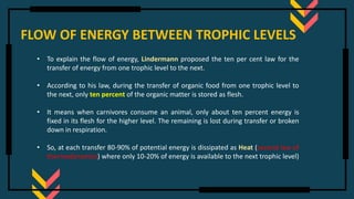 Energy Flow in Ecosystem and Statistical Ecology Presentation.pdf