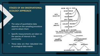 Energy Flow in Ecosystem and Statistical Ecology Presentation.pdf