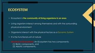 Energy Flow in Ecosystem and Statistical Ecology Presentation.pdf