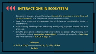 Energy Flow in Ecosystem and Statistical Ecology Presentation.pdf