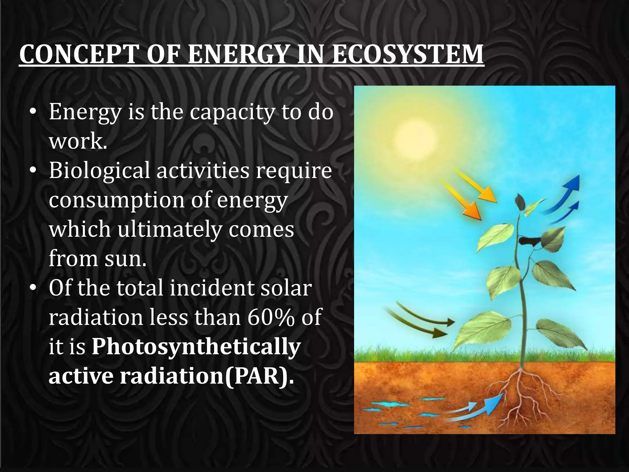 ENERGY FLOW IN ECOSYSTEM(MANISH SAHU).pptx