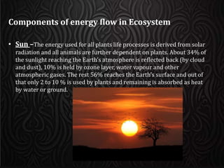 ENERGY FLOW IN ECOSYSTEM(MANISH SAHU).pptx