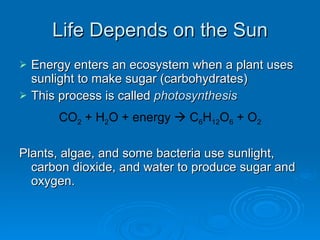 Energy flow in ecosystems | PPT