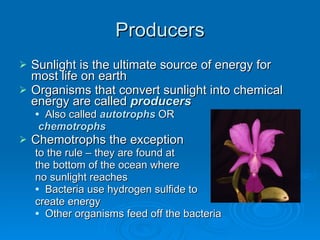 Energy flow in ecosystems | PPT