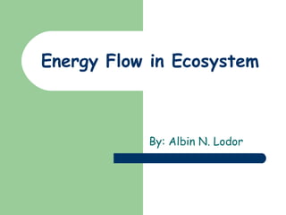 Energy flow in ecosystems | PPT