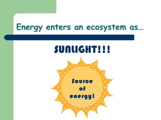 Energy flow in ecosystems | PPT