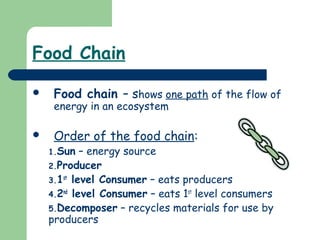 Energy flow in ecosystems | PPT