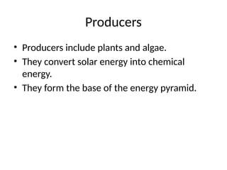 Understanding Energy Flow in Ecosystems: Food Chains, Webs, and ...