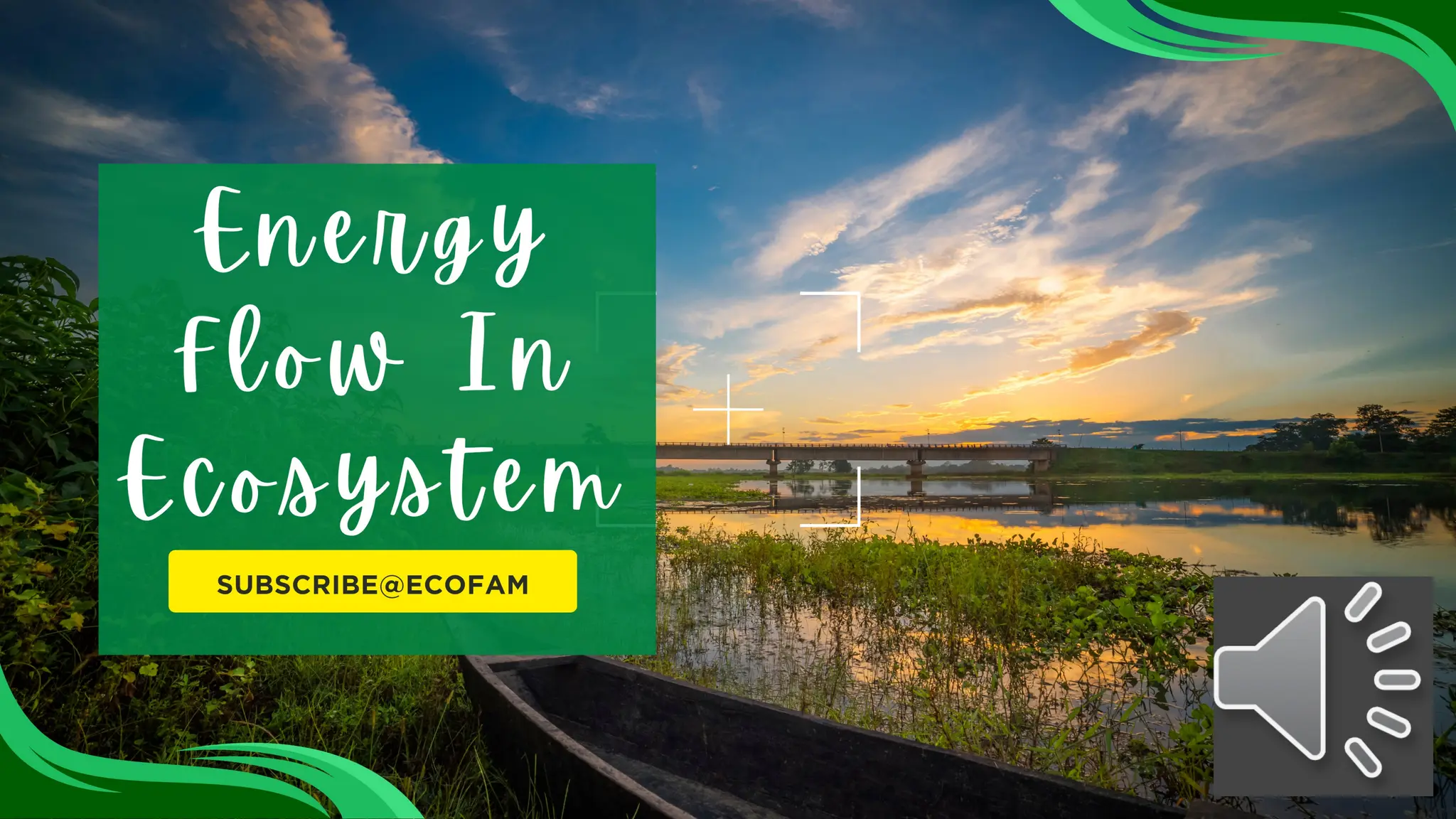 Energy flow in ecosytem various models.. | PPTX