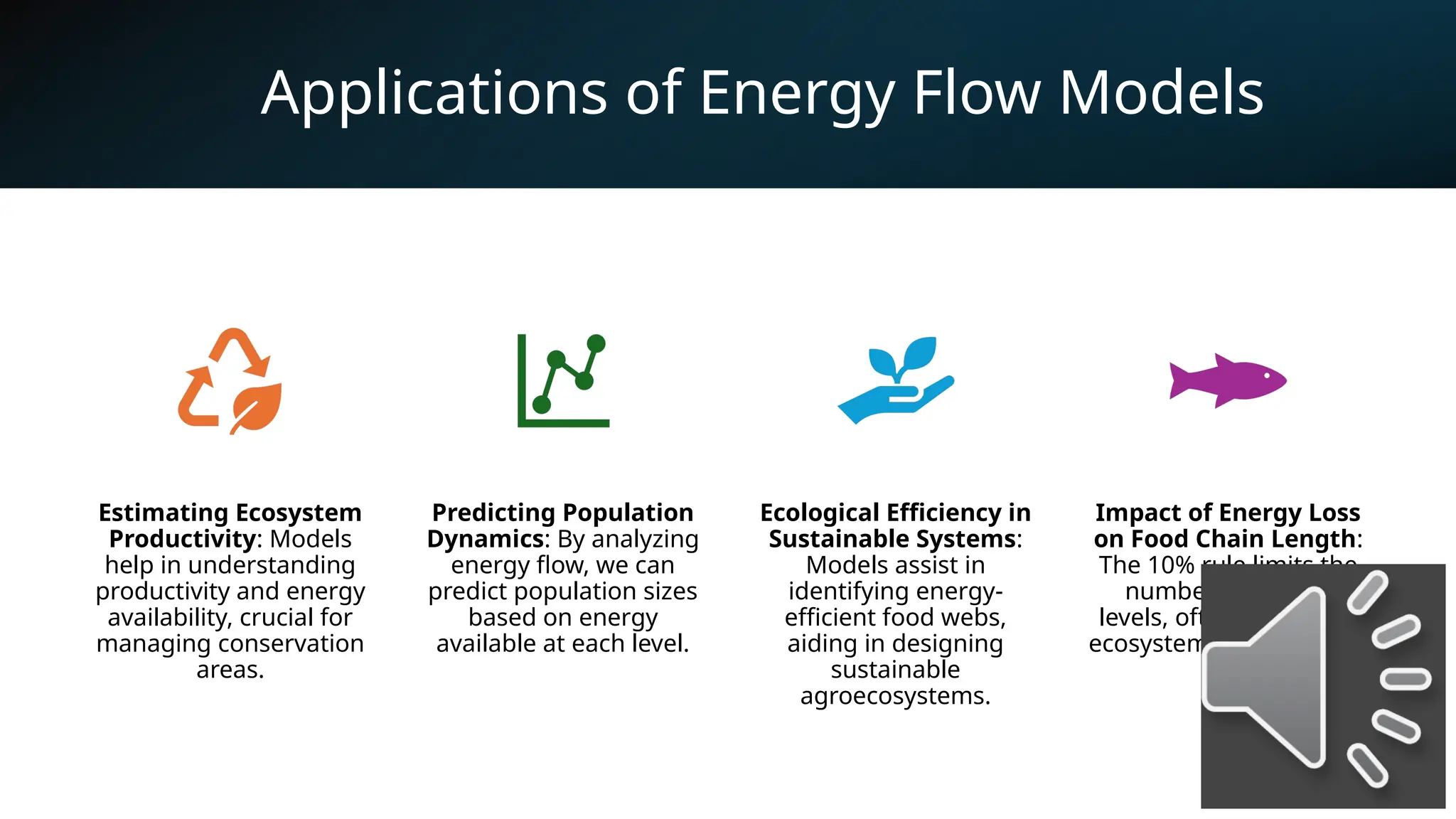 Energy flow in ecosytem various models.. | PPTX