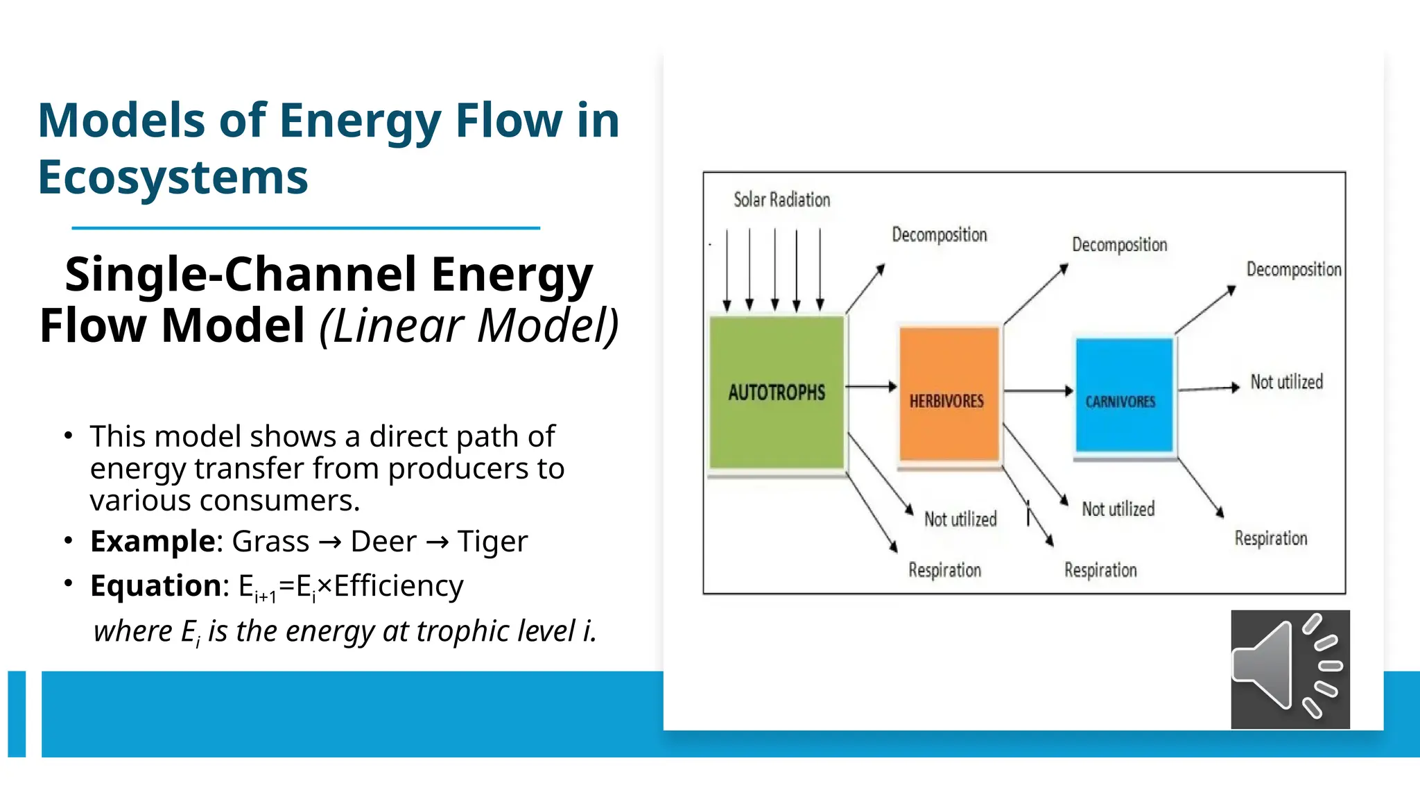 Energy flow in ecosytem various models.. | PPTX