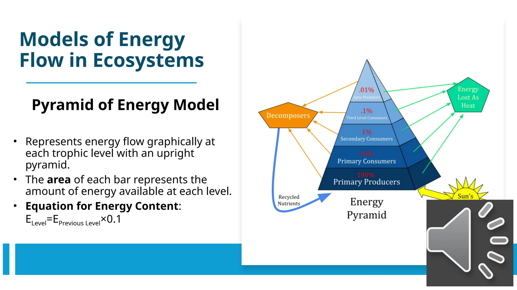 Energy flow in ecosytem various models.. | PPTX