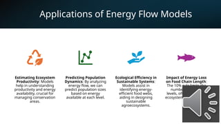 Energy flow in ecosytem various models.. | PPTX