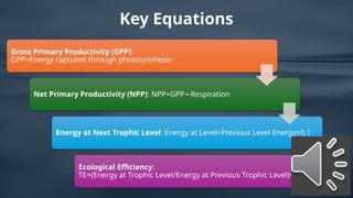 Energy flow in ecosytem various models.. | PPTX