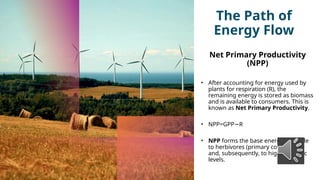Energy flow in ecosytem various models.. | PPTX