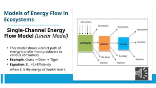 Energy flow in ecosytem various models.. | PPTX