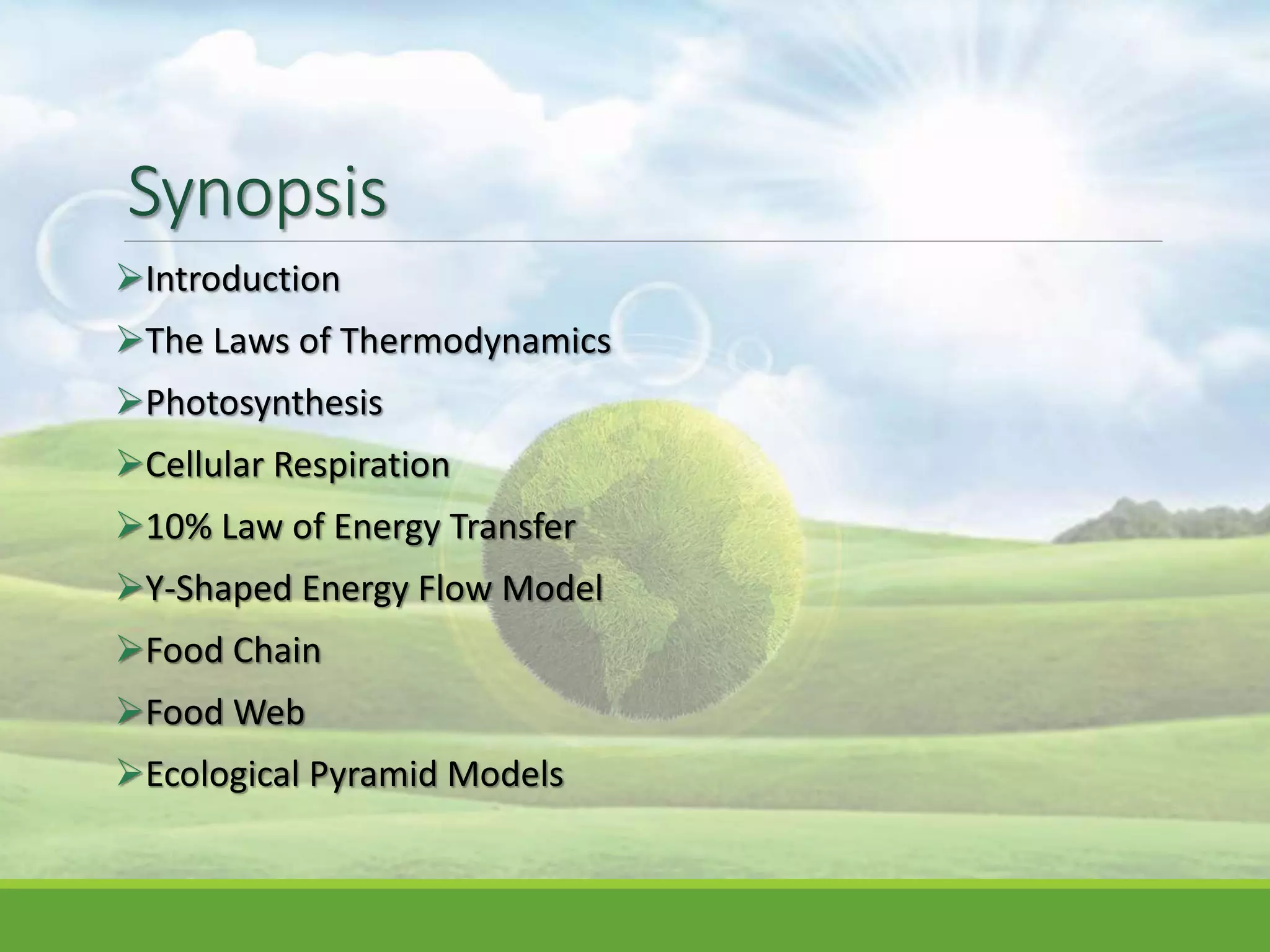 Energy Flow in Environment : Ecological Energetics | PPTX