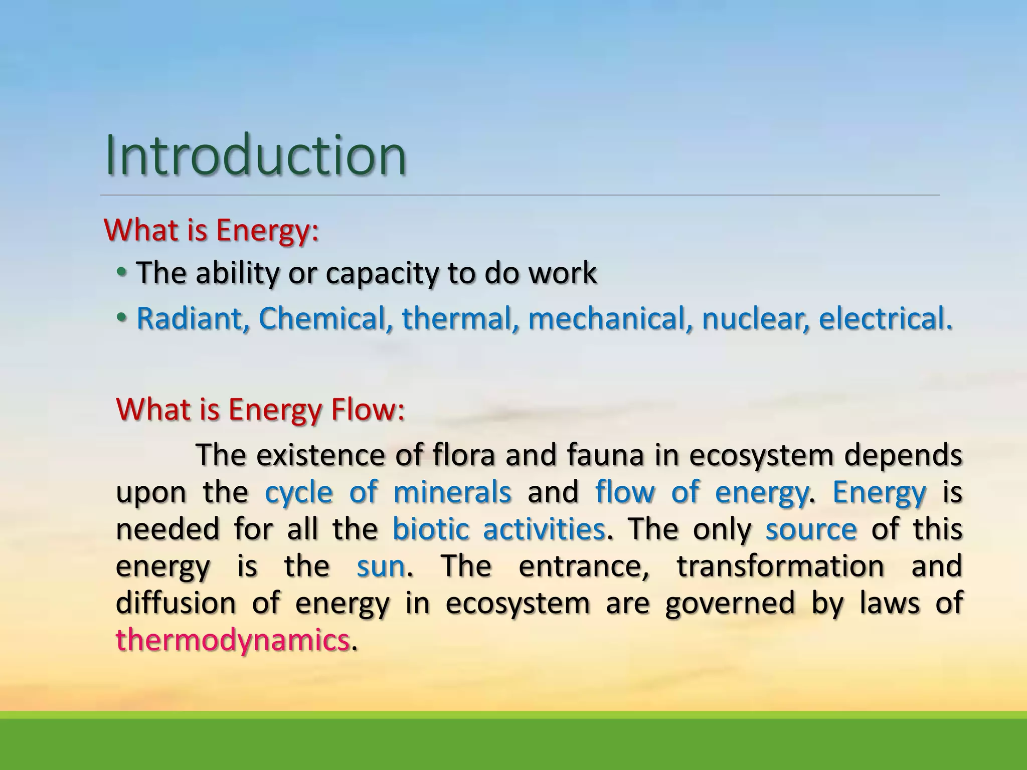 Energy Flow in Environment : Ecological Energetics | PPTX